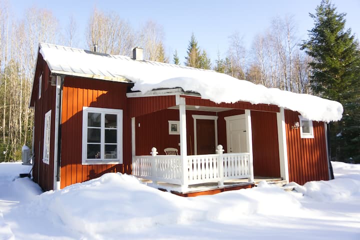 Cozy Forest Cabin - Suecia