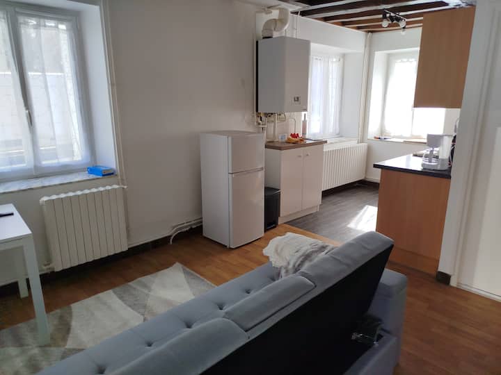 Logement Cosy Proche Centre-ville - Thoiry