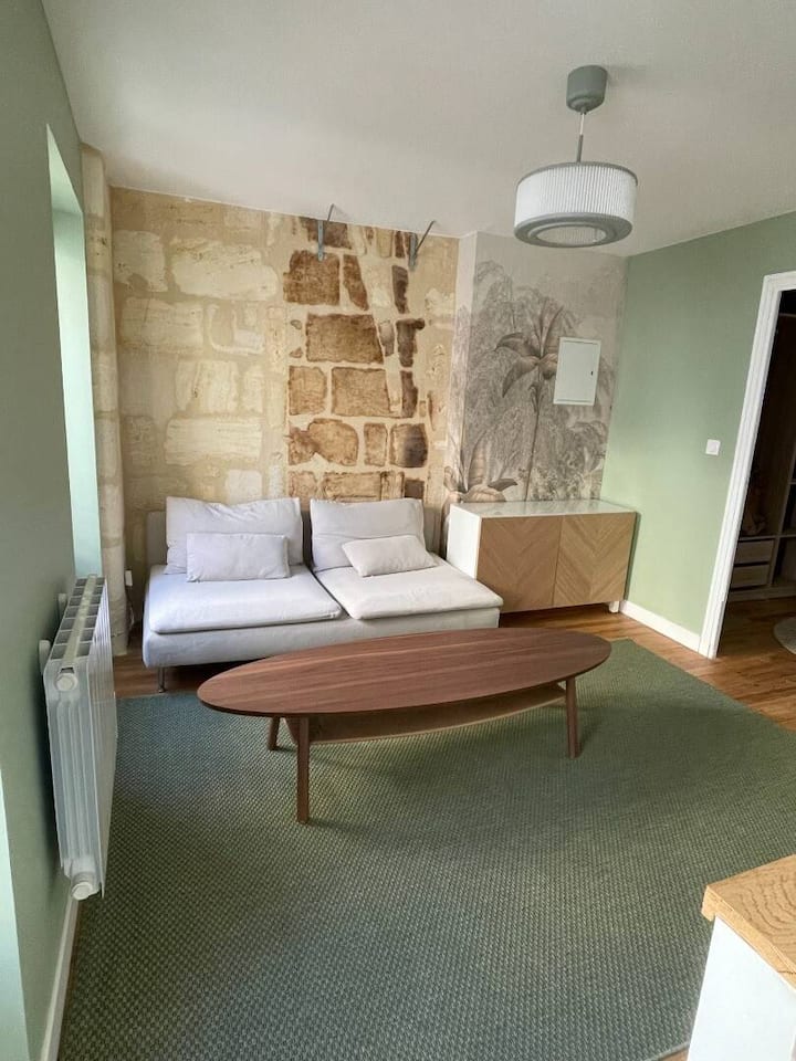 T1 Bordeaux Quartier Gambetta - Bordéus