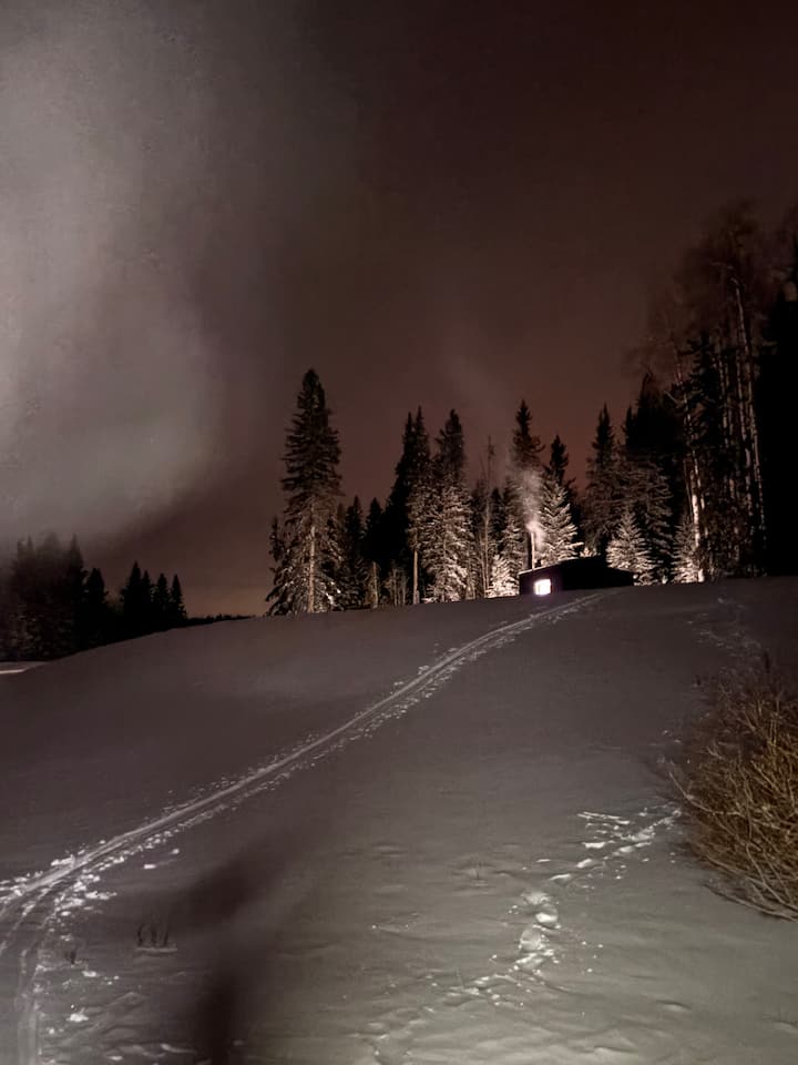 One Room Cabin With Private Trails - 선데