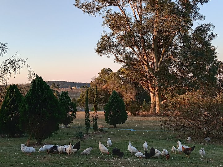 Family Farmstay - Blackbutt