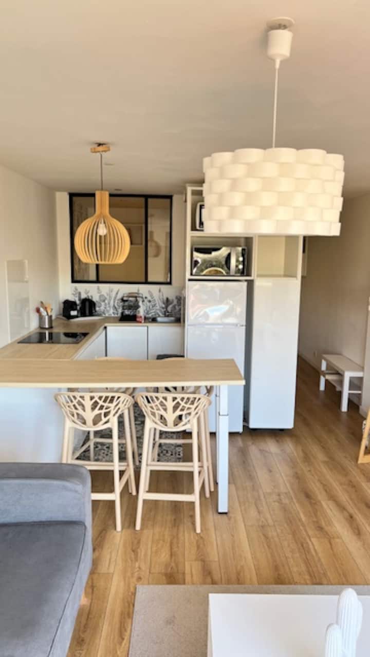 Appartement Rénové Face à La Dune - Seignosse