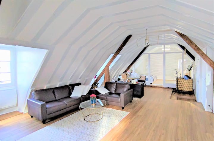 Hotel Particulier Luxe Circuit 24h Direct En Tram - Le Mans