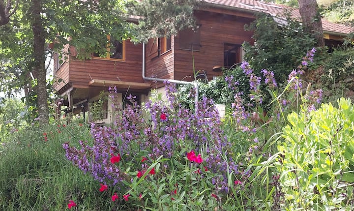 Chalet Entre Vignes Et Bois - Kaysersberg