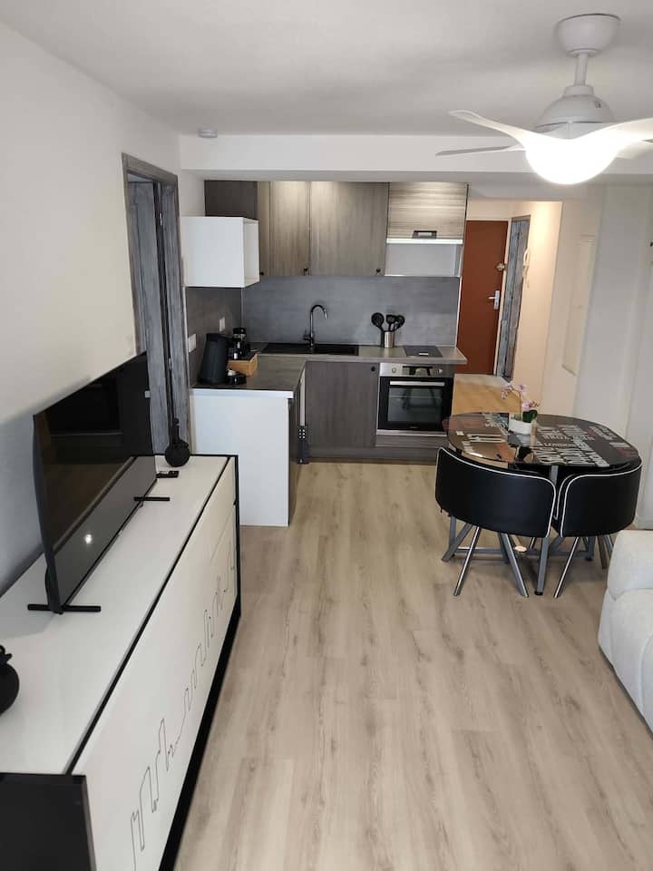 T2 - Proche Sanctuaire - Parking - Lourdes