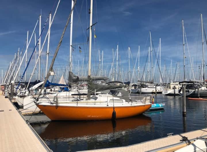 Folie Douce At The Marina Brouwershaven - Ellemeet