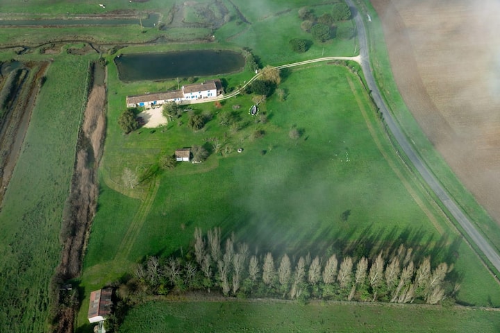 Cottage Dans Les Marais Proche De L'ile D'oléron. - Marennes