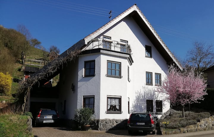 Ferienwohnung Jonas, Rhein/ahr/eifel - Sinzig