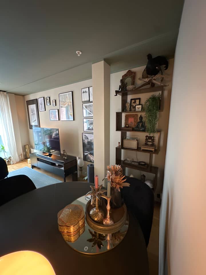 Lun Og God Atmosfære Nær Alt I Oslo Sentrum. - Oslo