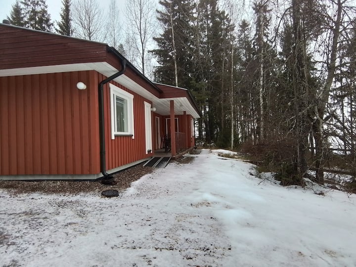 Viihtyisä 100m2 Mökki Säkylän Pyhäjärven Rannalla. - Yläne