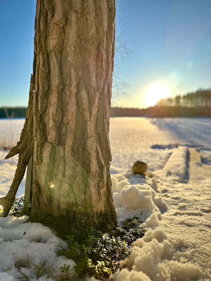 Mökki Järven Rannalla / Repoveden Kansallispuisto - Kouvola