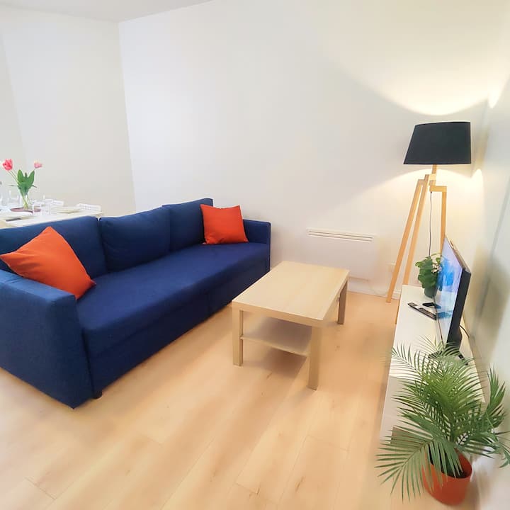 Appartement 1 Hamecher - Montauban