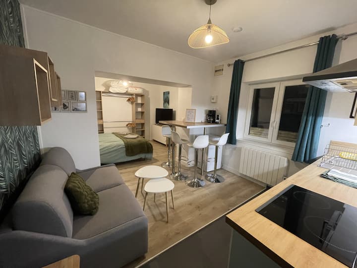 Le Studio Marquettois - 35 M2 Cosy & Proche Lille - Lambersart