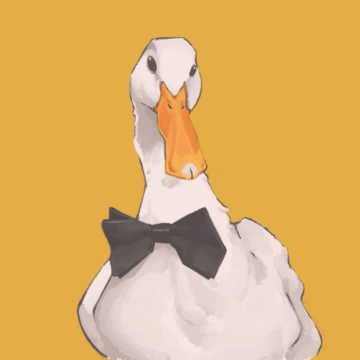 Geese Apt - Светловодск