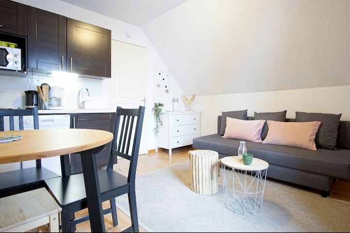 Studio Super Besse - Besse-et-Saint-Anastaise