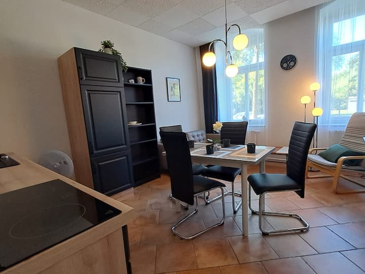 Apartment "Mühle E1" Chemnitz - On Brühl Boulevard - Chemnitz