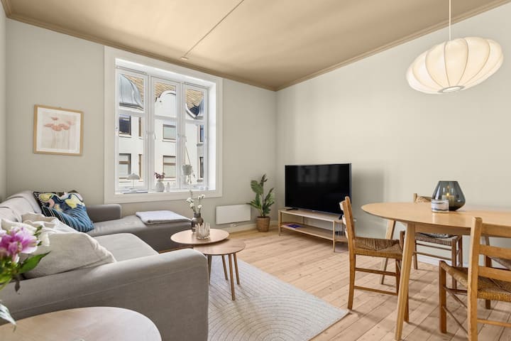 Lys Og Sentral Leilighet - Trondheim