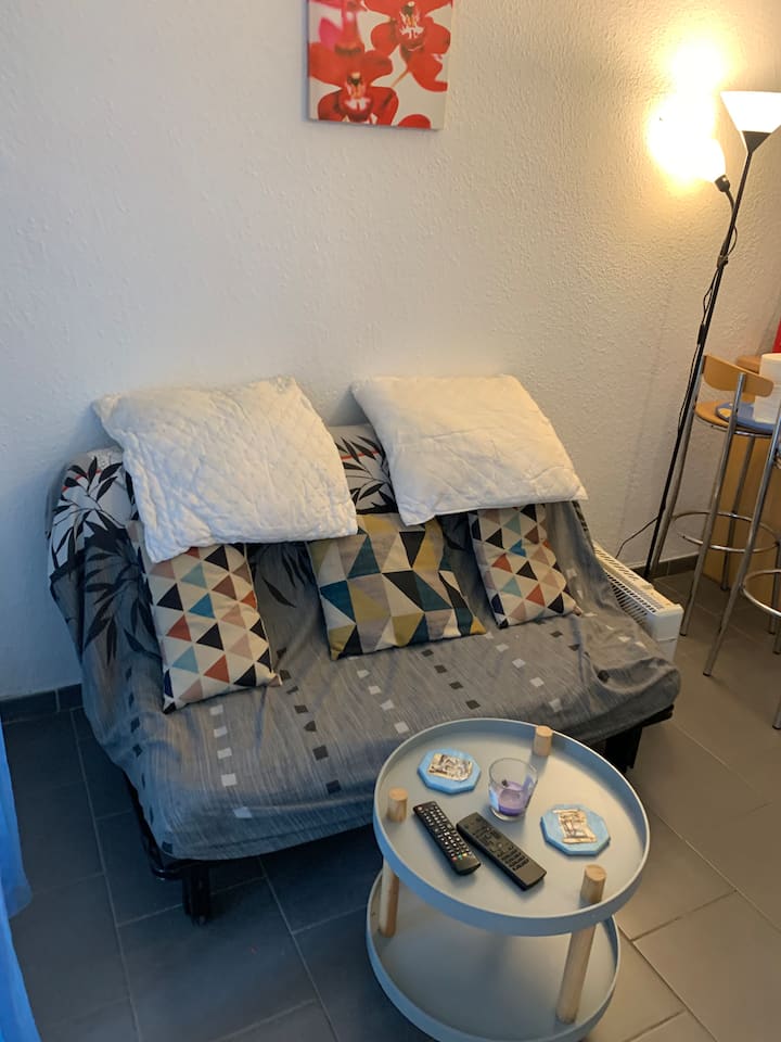 Studio Parking Privé - Saint-Cyprien