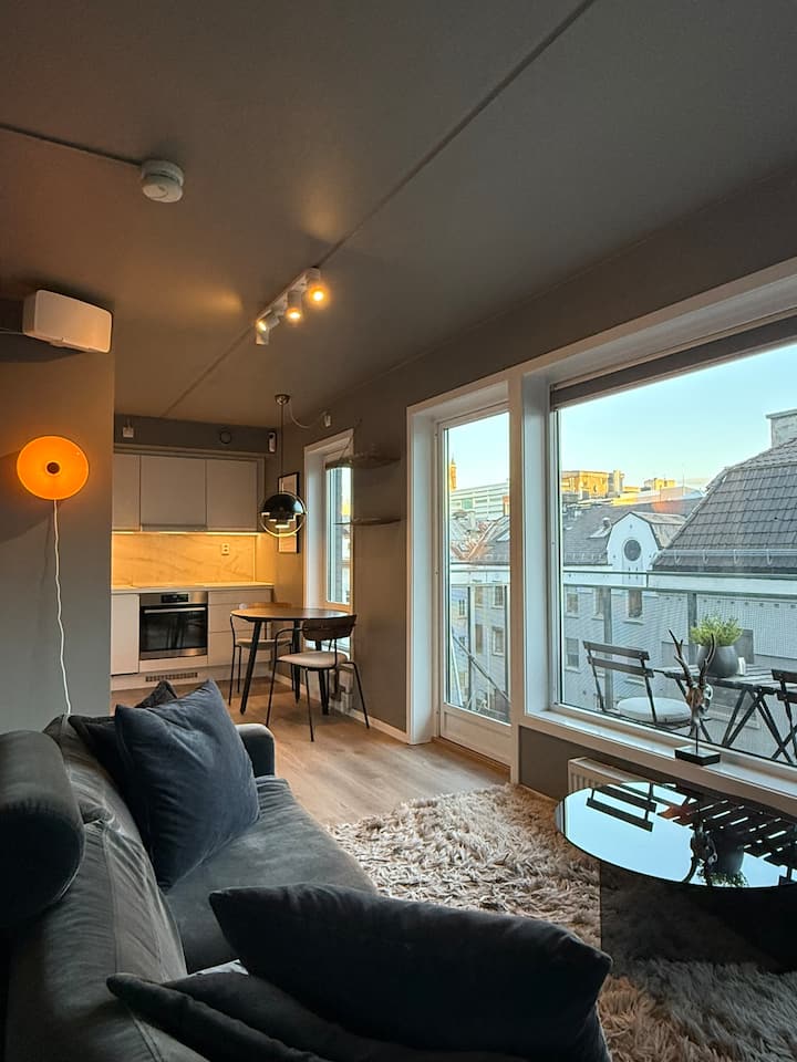 Lys Leilighet I Hjertet Av Oslo Sentrum - Oslo