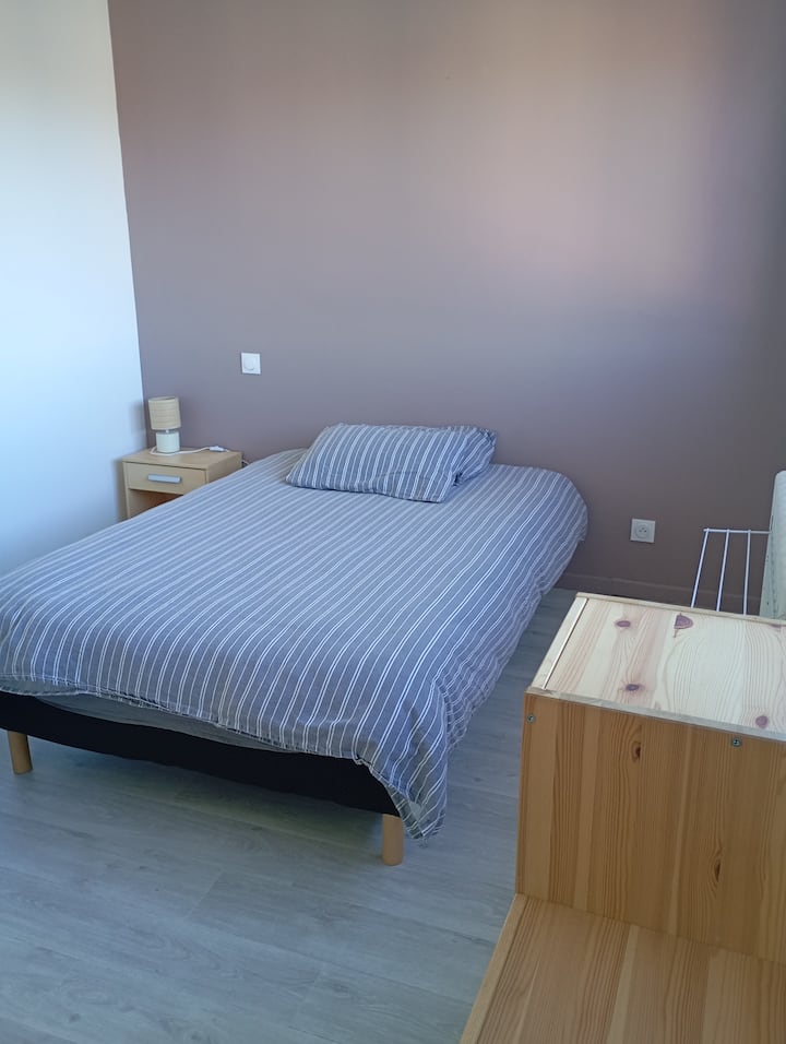 Courts Séjours Professionnels, Stages Et Visites - Toulouse