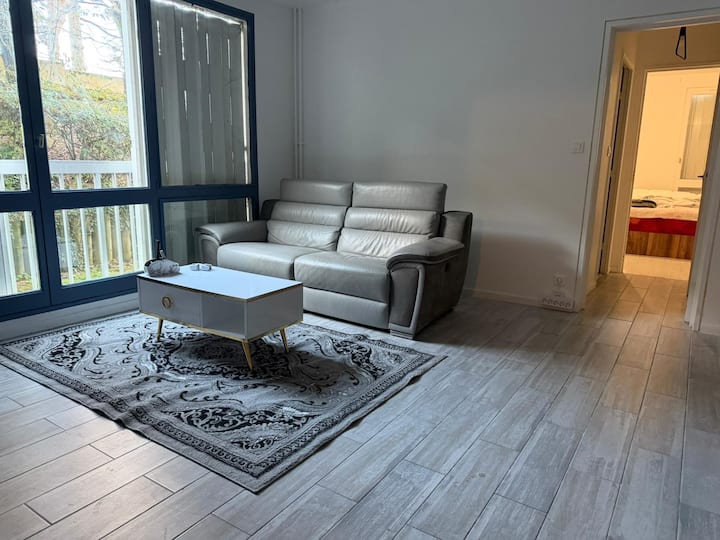 Cœur De Ville – Commerces & Transports à Pied - Lac des Closiers