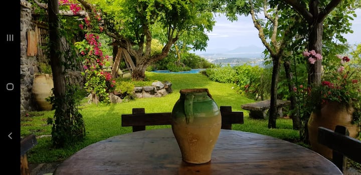Il Piccolo Zaffiro Verde E Blu! - Ischia
