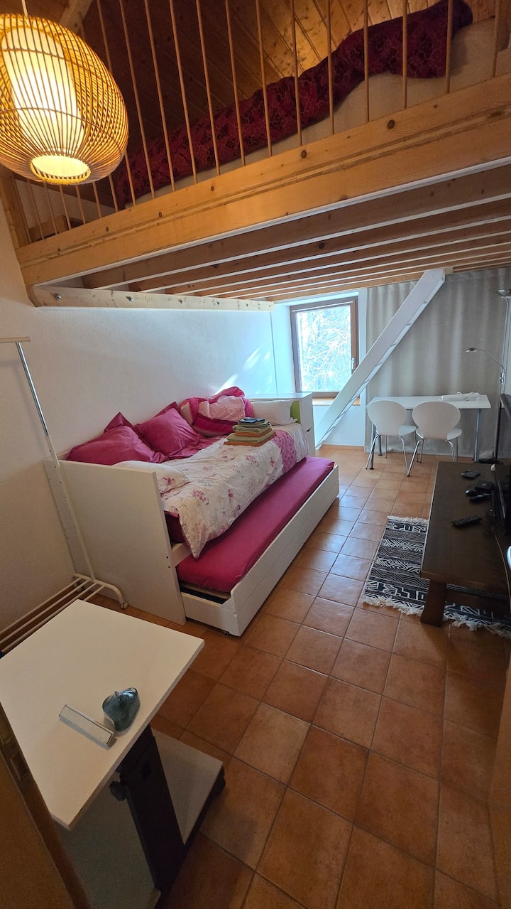 Belle Chambre Avec Mezzanine - Canton de Vaud