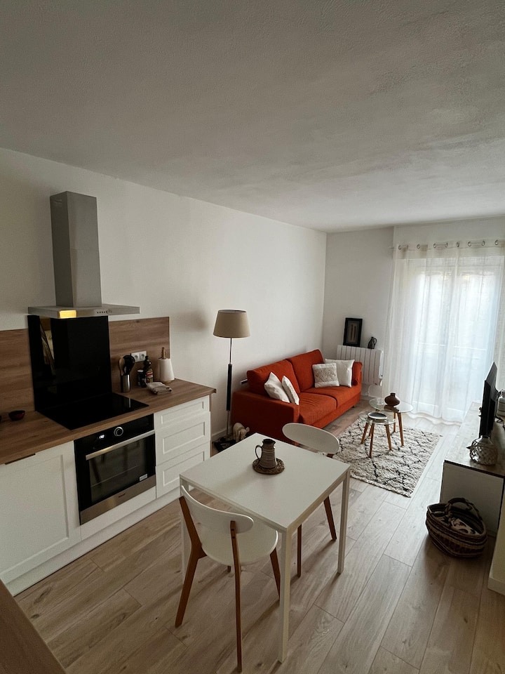 T2 Cosy Hyper Centre - Céret