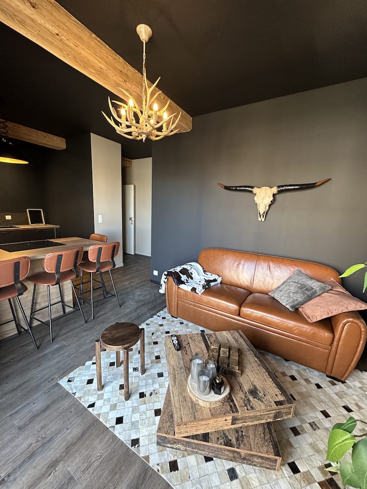 Le Austin – Balcon, Vue Saône, Clim & Ranch - Mâcon