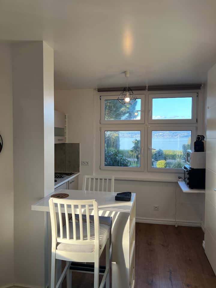 Studio Meublé Avec Vue Sur Le Lac Léman - Évian-les-Bains