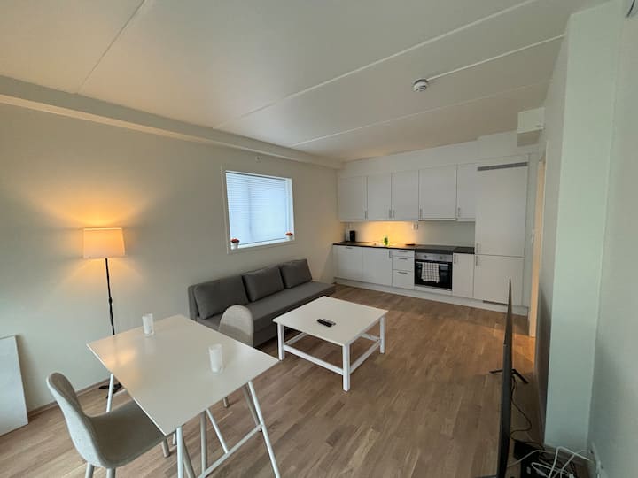 One Bedroom Apartment Central Jessheim - New - Jessheim