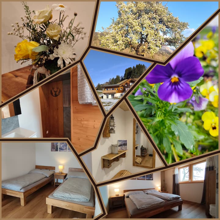 Entspannen In Den Bergen - Meiringen