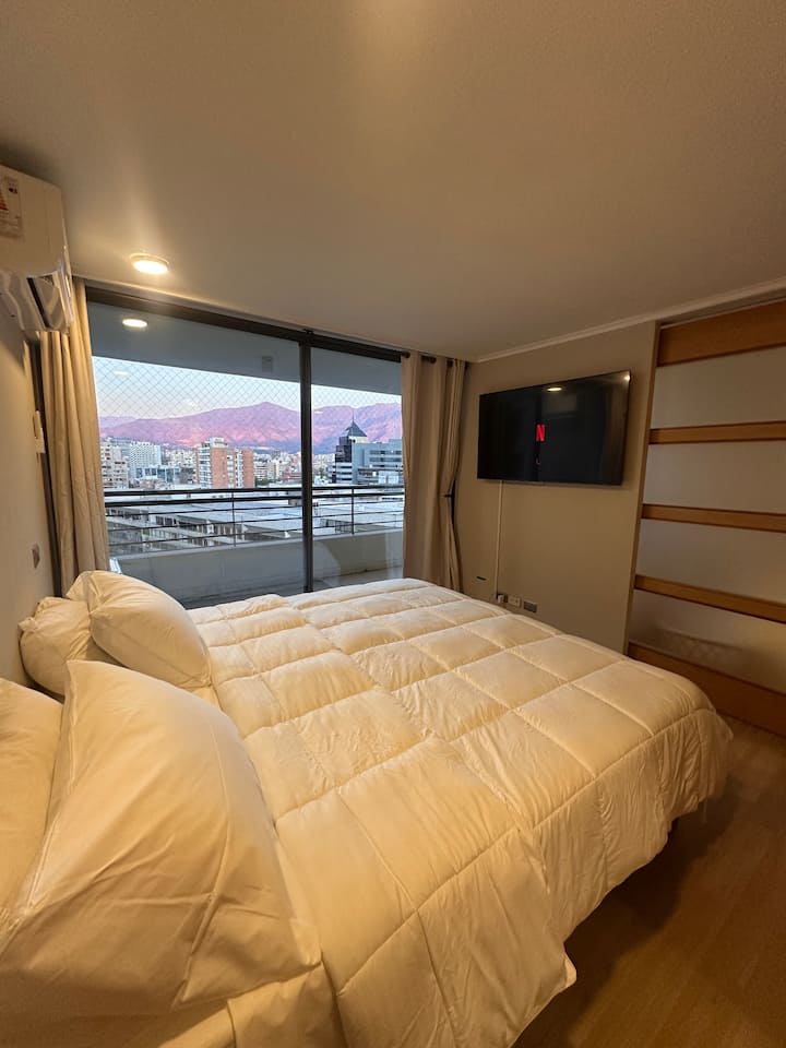 Hermoso Departamento Providencia Metro Los Leones - Chile