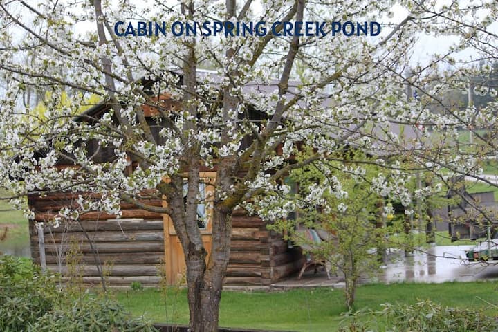 Cabin On Spring Creek Pond - Idaho (State)