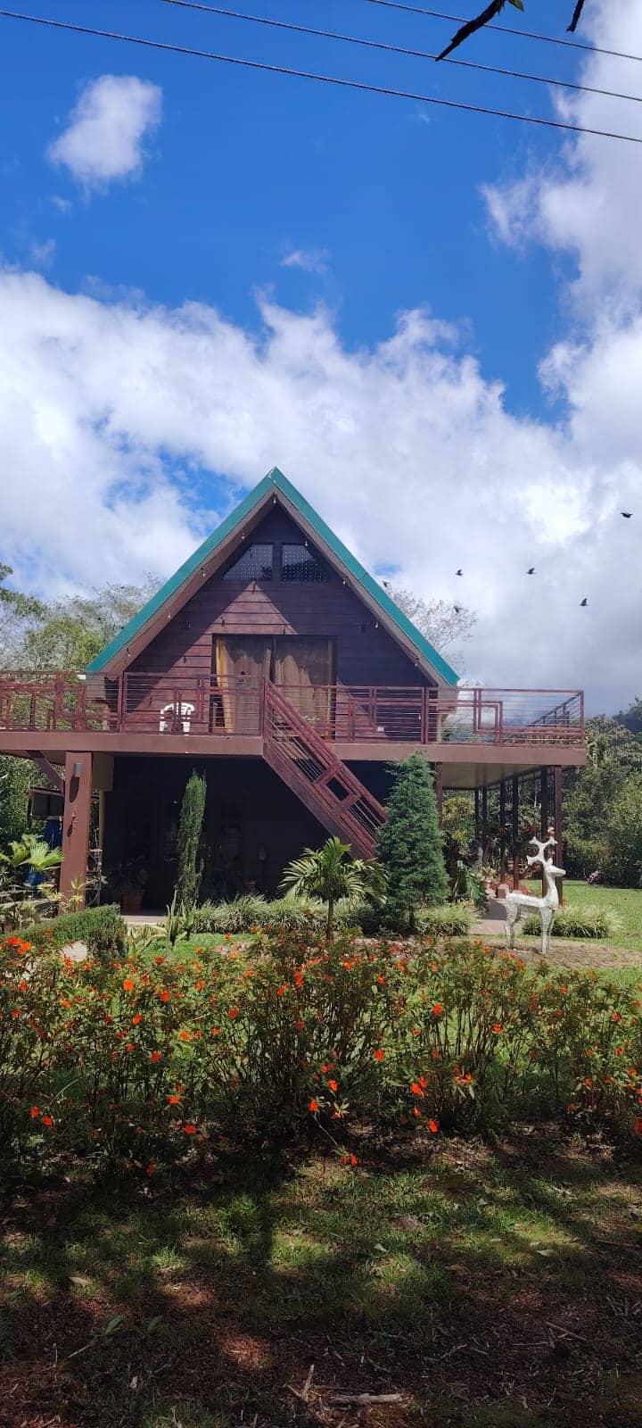 Bajos Del Toro Paradise House - Bajos del Toro