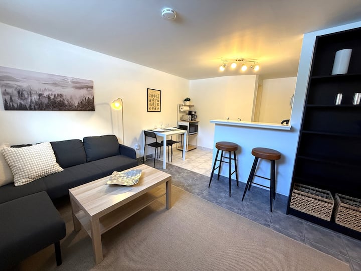 Furnished Apartment In North York - Vaughan