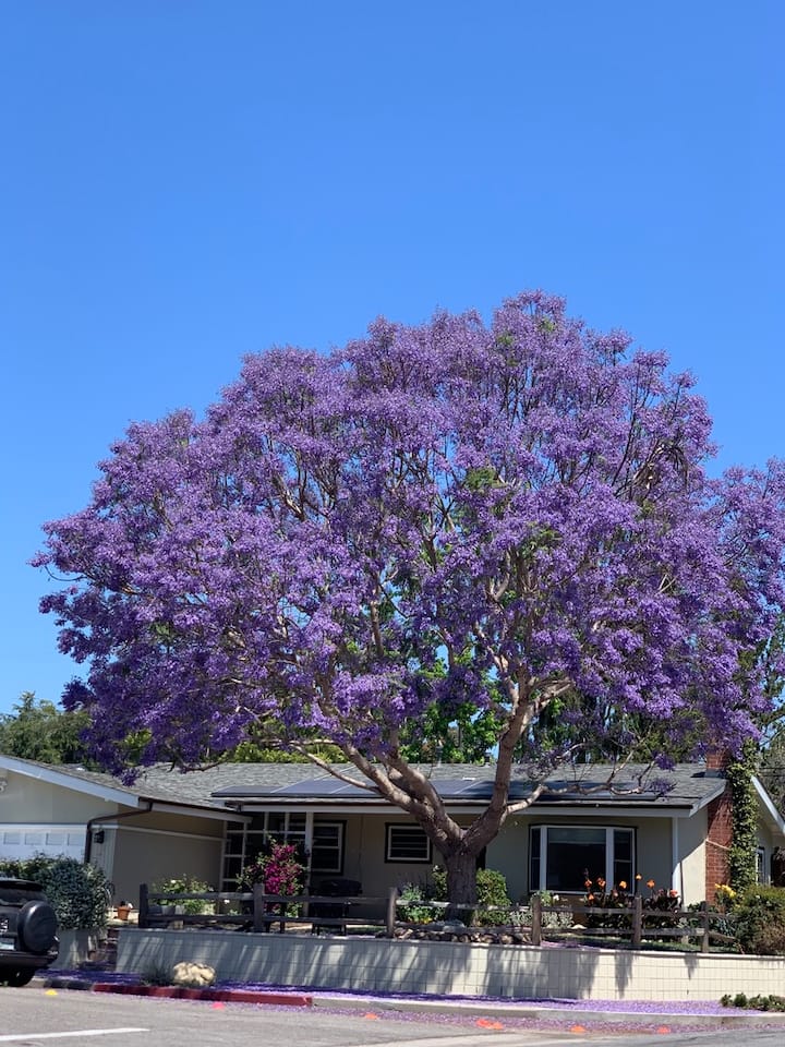 Santa Barbara Summer House - Santa Barbara, CA