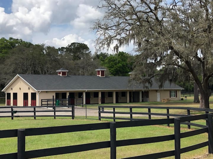 Walk To Wec - Art Basel Loft @ Swiss Stables - Ocala, FL