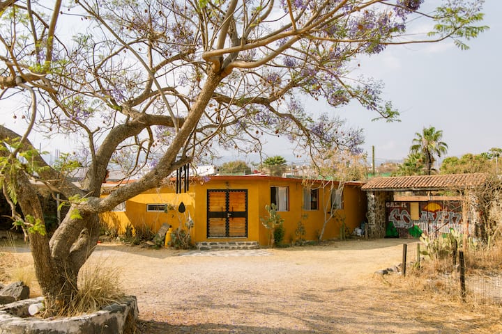 House In Arty Animal Shelter & Farm - Tlayacapan