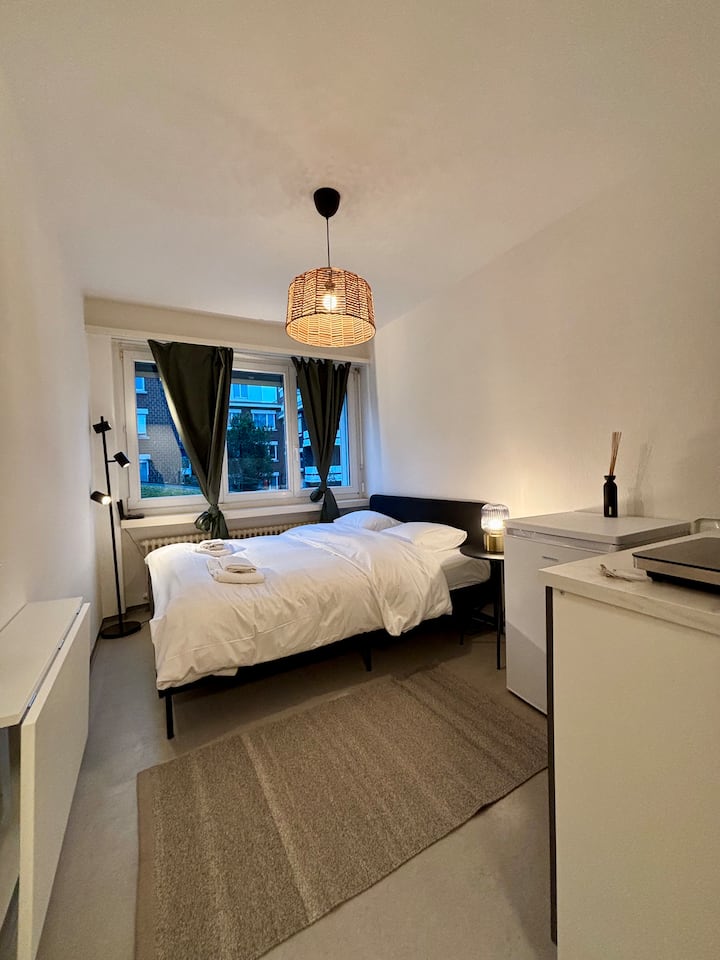 Basic Studio In Witikon District Ii - Zurique