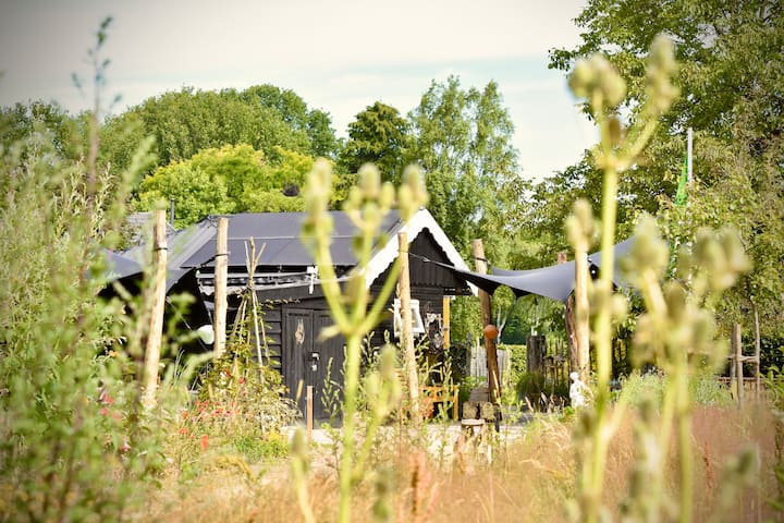 De Paardenbloem. - Borculo