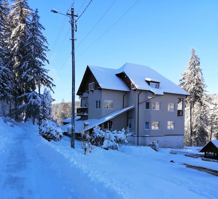 The Place Where Only Silence Can Disturb You - 