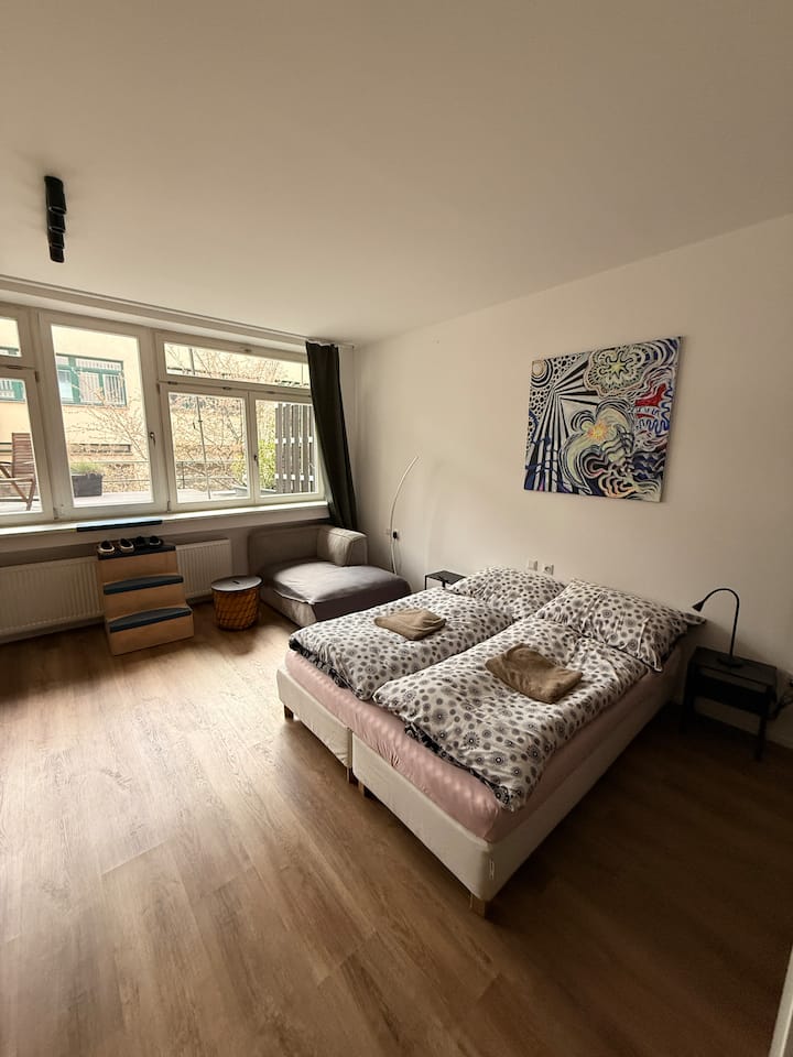ÚTulný Být V Centru Brna. Skvělá Lokalita, Terasa! - Brno