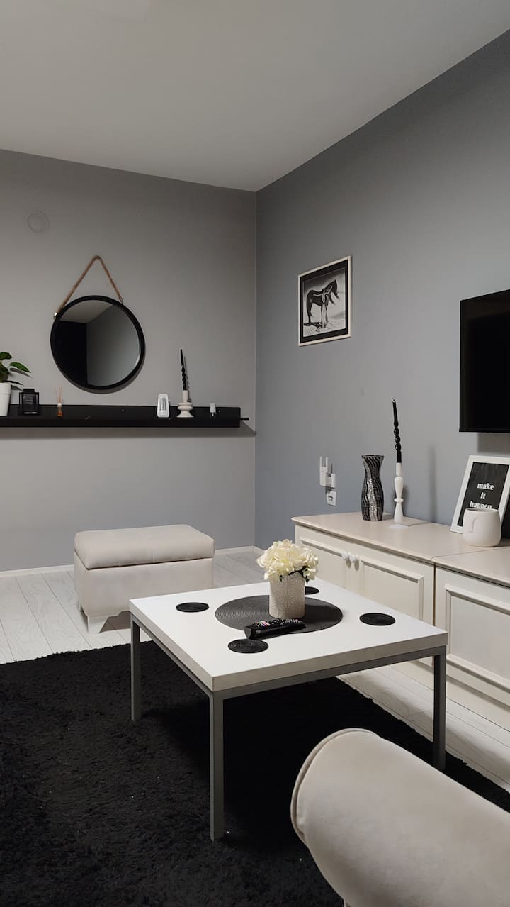 Apartman Branka Niš - Niš