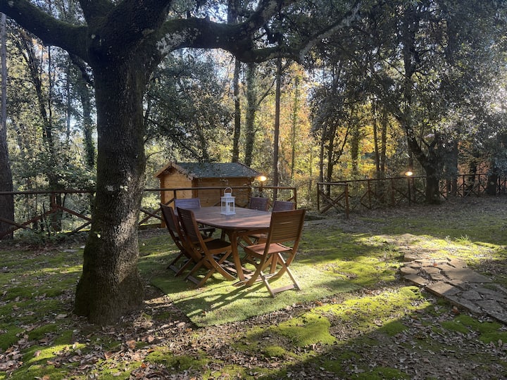 La Casa Nel Bosco Umbro - 8 Guest - Italywego - 佩魯賈