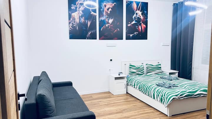 Mieszkanie Na Ul.chopina - Katowice