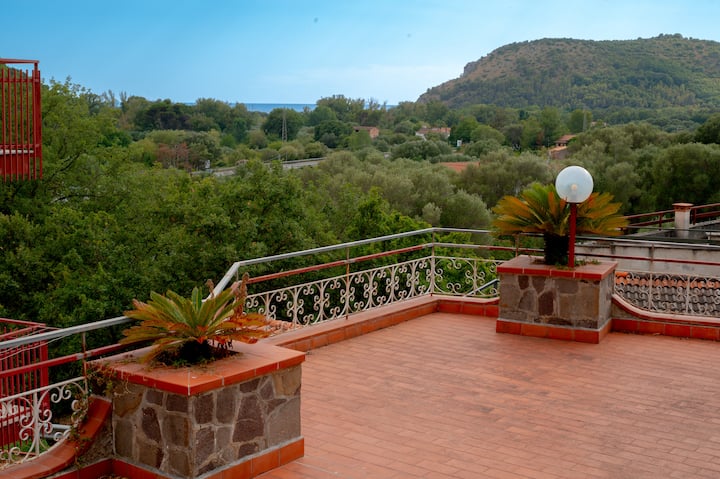 Ampio Appartamento A Palinuro - Fino A 7 Ospiti - Marina di Camerota