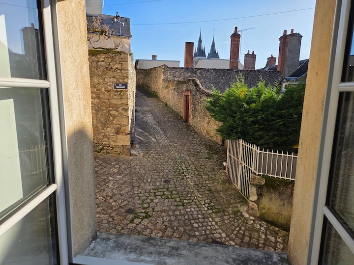 Appartement Le Triboulet - Blois