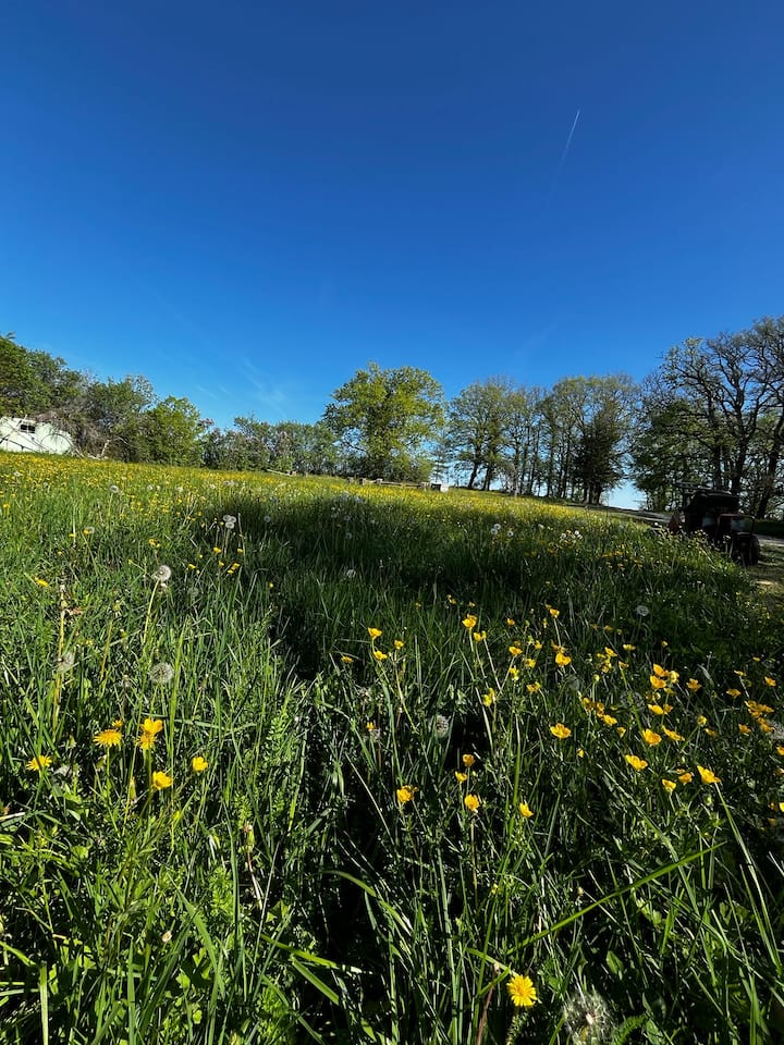Maison Rustique Pédagogique, Calme Absolu - Lot-et-Garonne