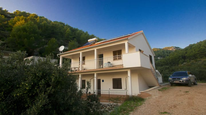 Your Robinson Palace Of Peace - Hvar